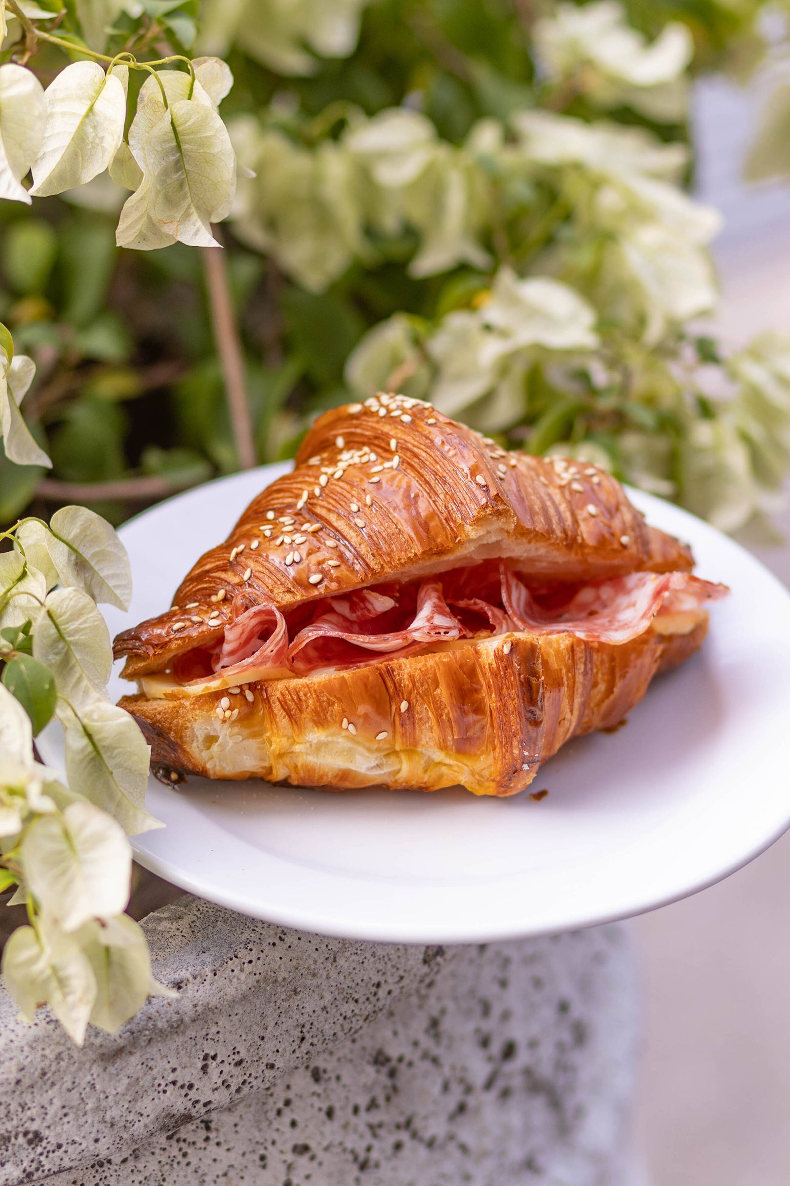 Home | Cerin pasticceria
